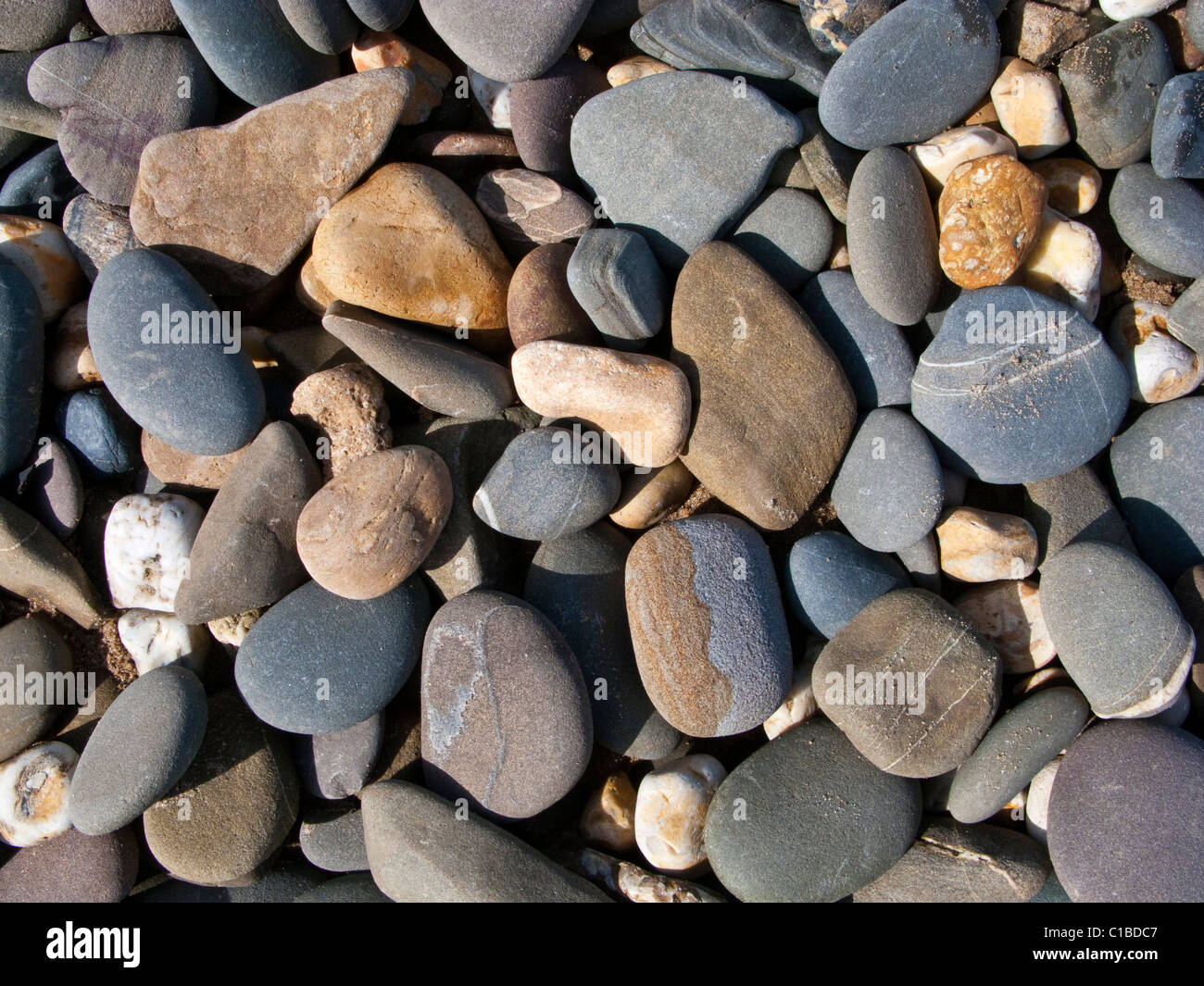 Pebbles on the beach Stock Photo - Alamy