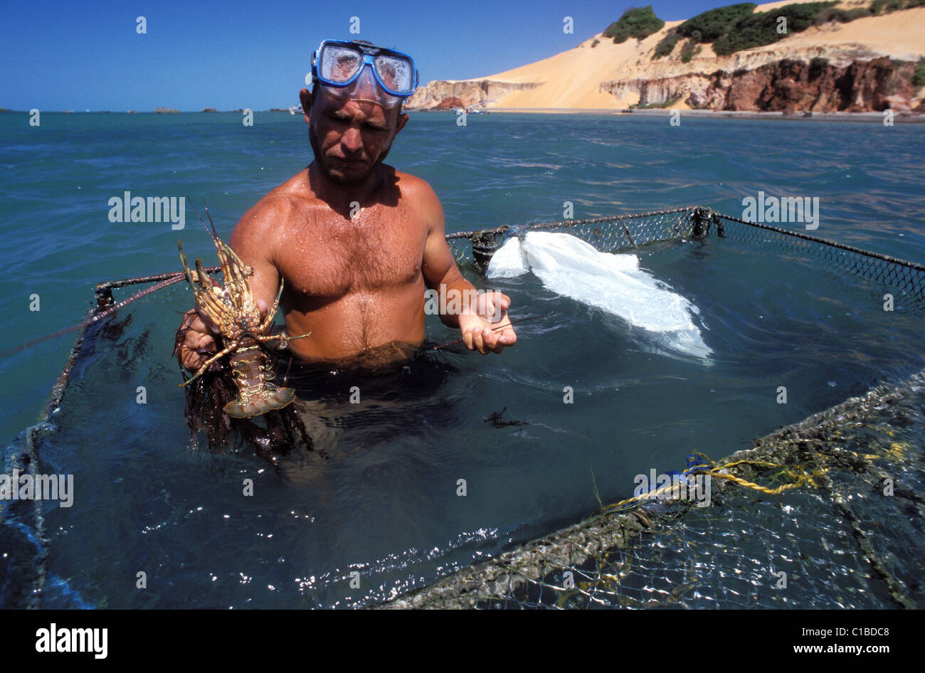 Brazil, Ceara state, Punta Grossa, lobsters fishing Stock Photo - Alamy
