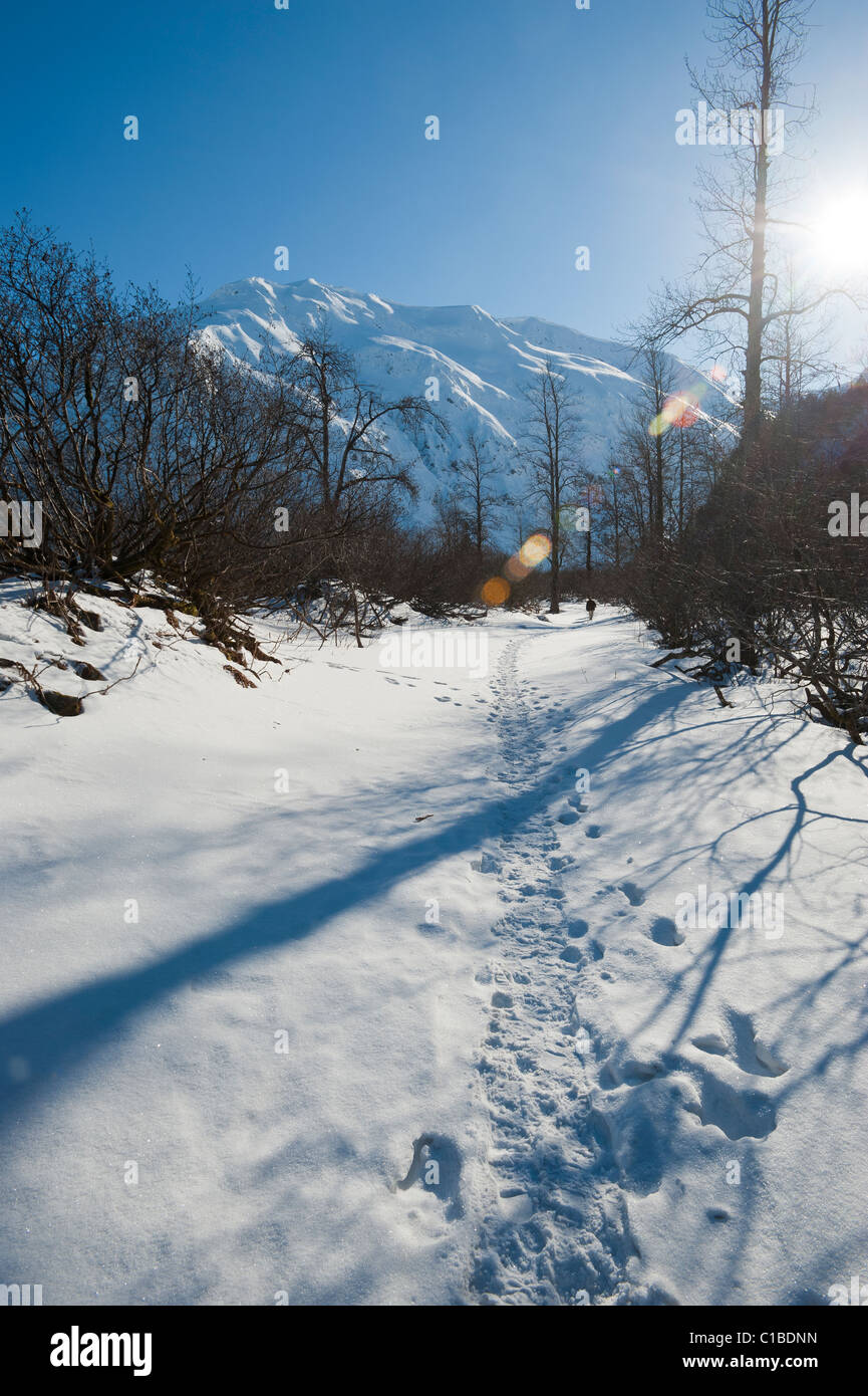 A PERSON WALKING THE BYRON GLACIER TRAIL, WINTER Stock Photo - Alamy