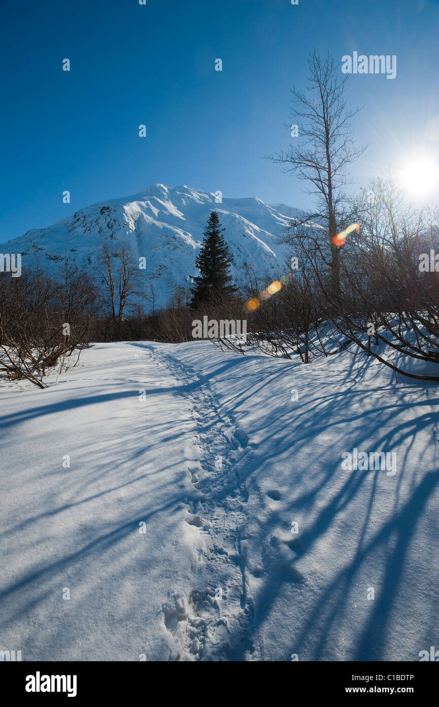THE BYRON GLACIER TRAIL IN WINTER Stock Photo - Alamy