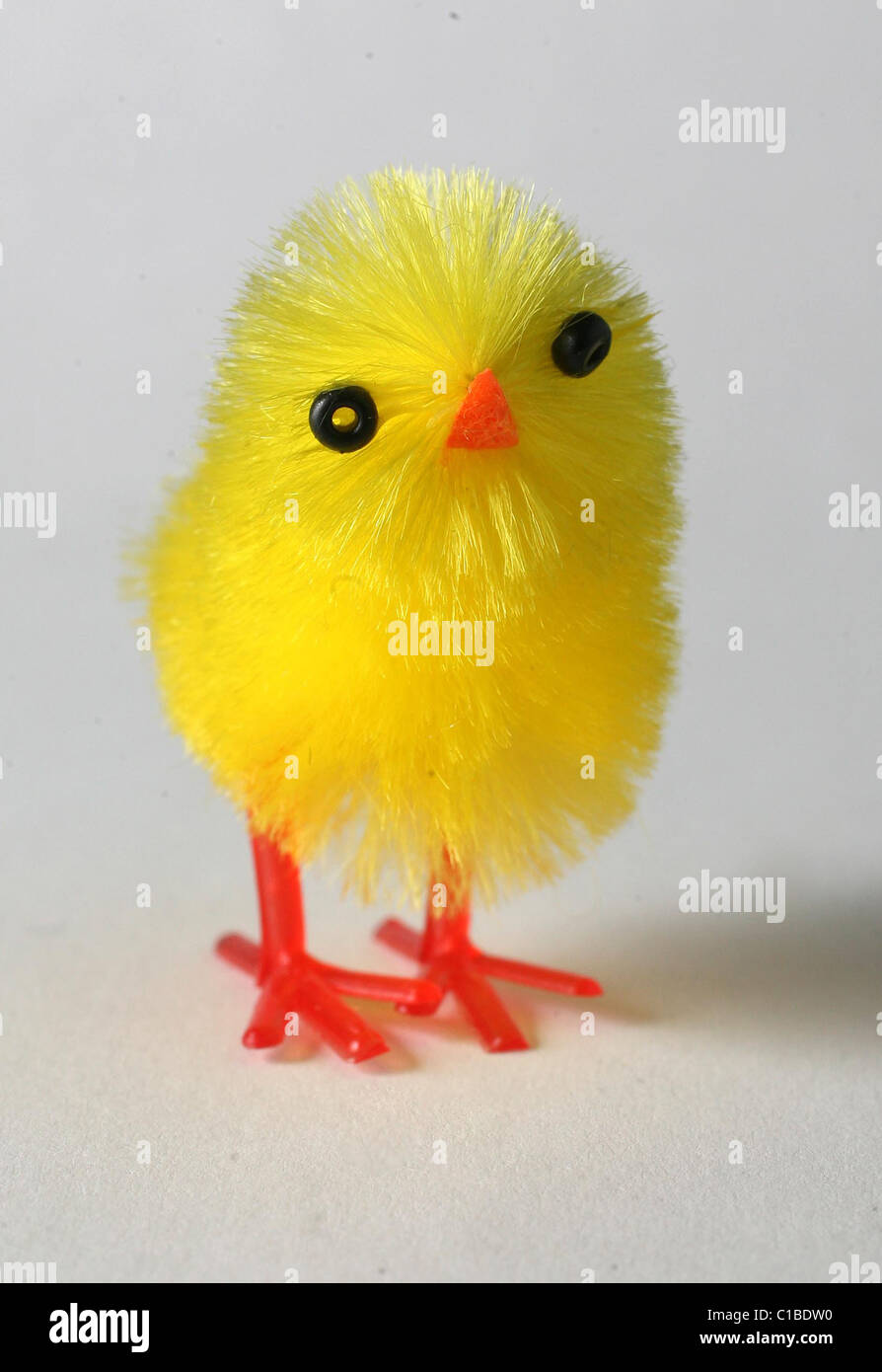 An Easter chick Stock Photo - Alamy