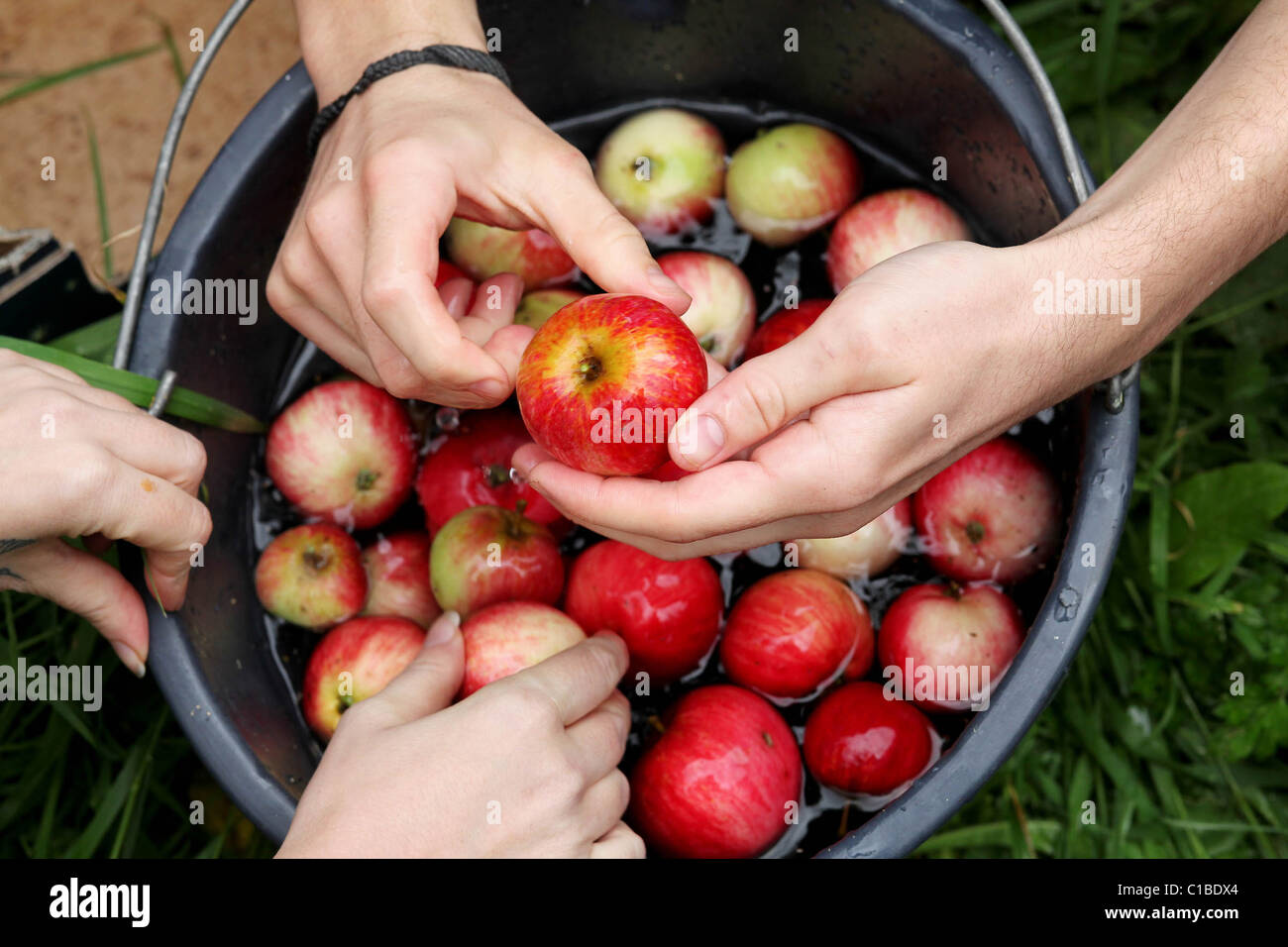 Washing fruit bucket hi-res stock photography and images - Alamy
