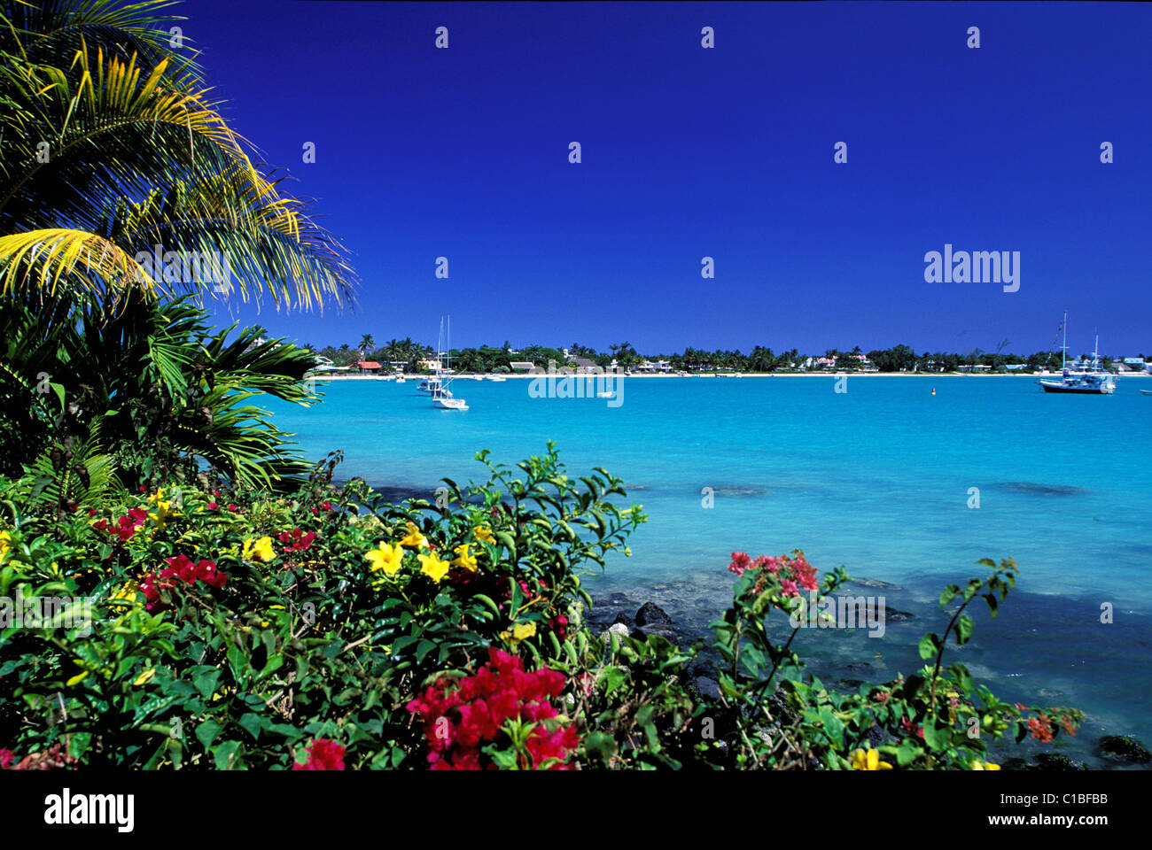 Northern mauritius hi-res stock photography and images - Alamy