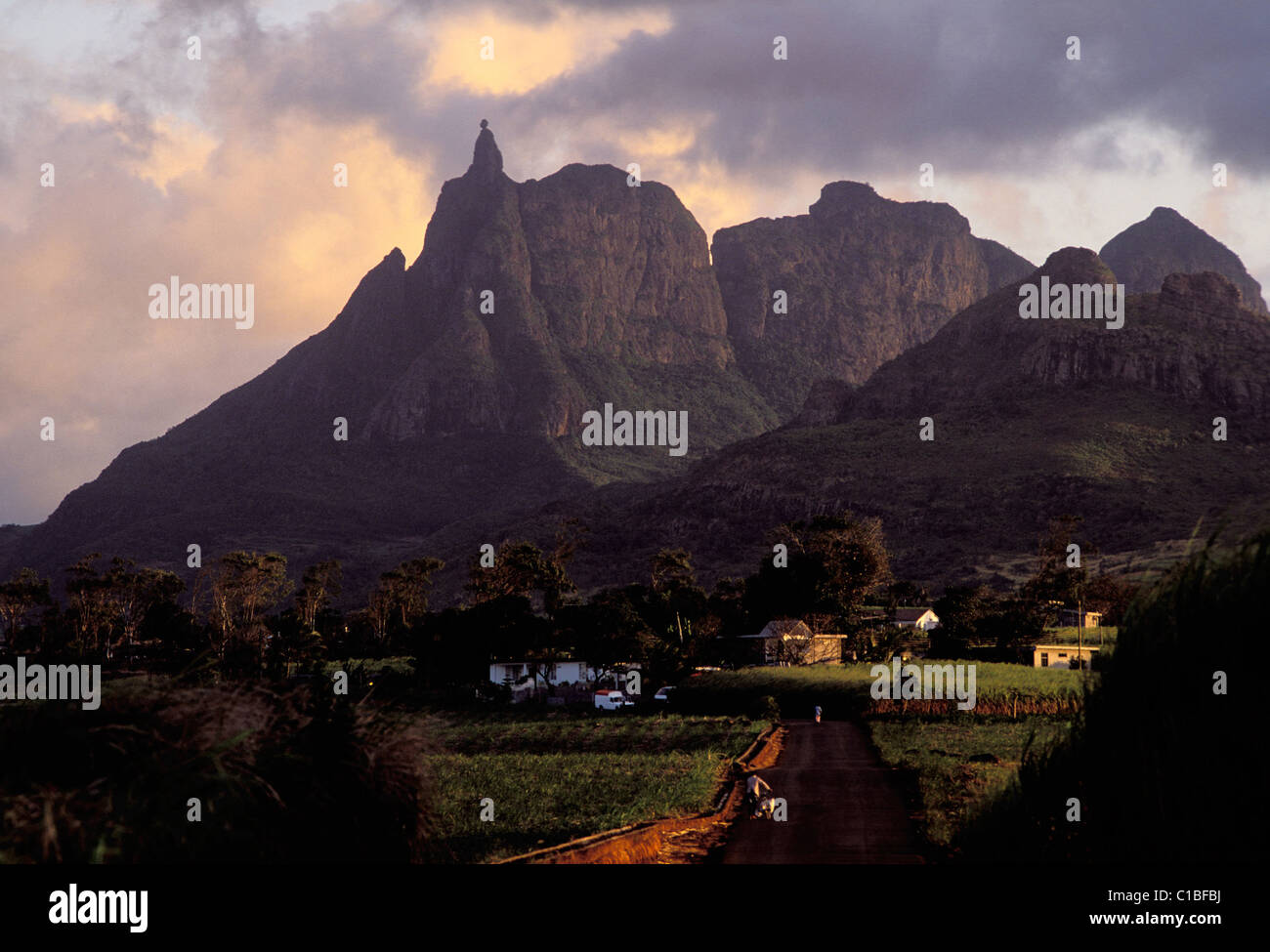 Mauritius pieter both hi-res stock photography and images - Alamy