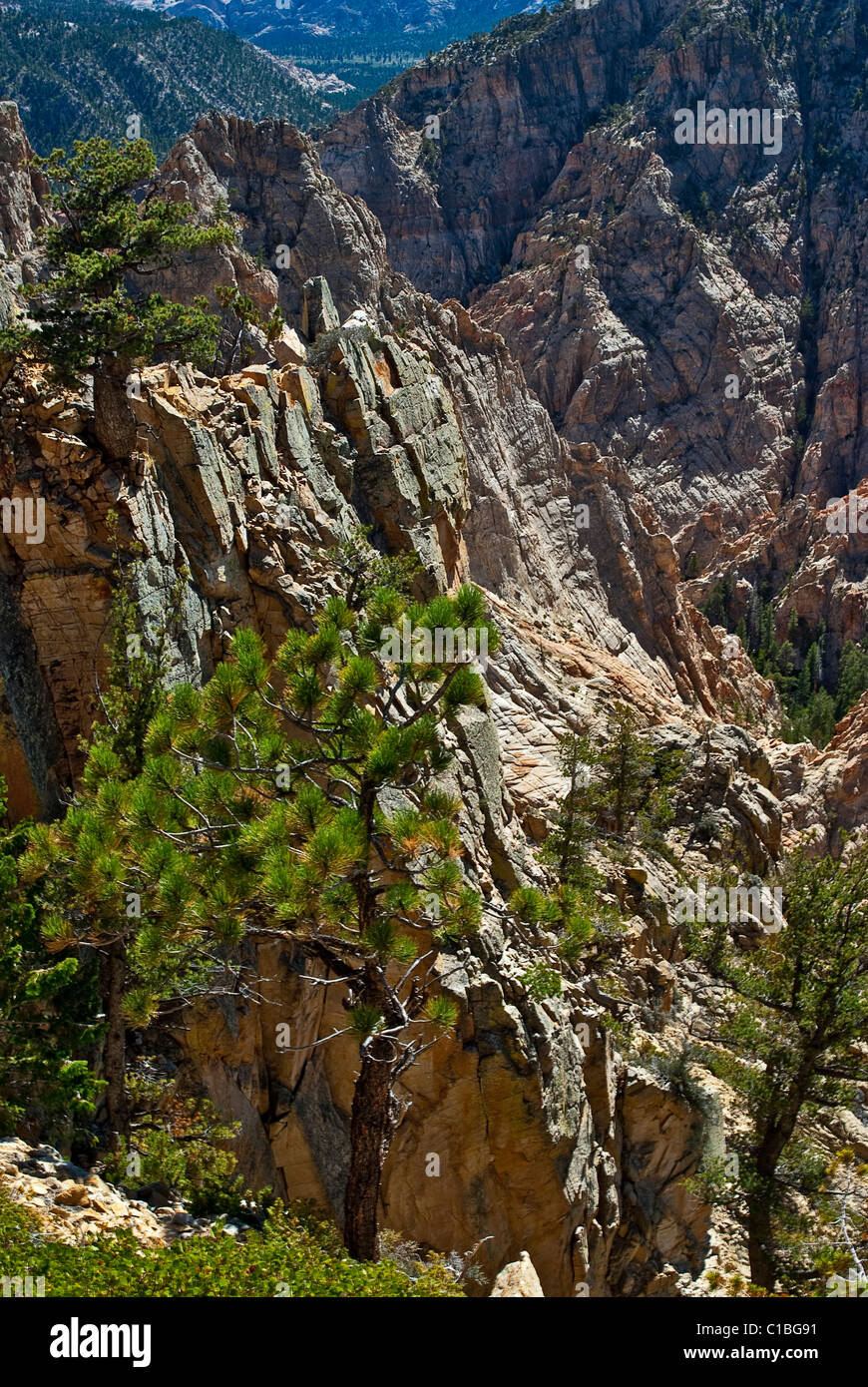 USA, Utah, Dixie NF. Box-Death Hollow Wilderness from near Hell's ...