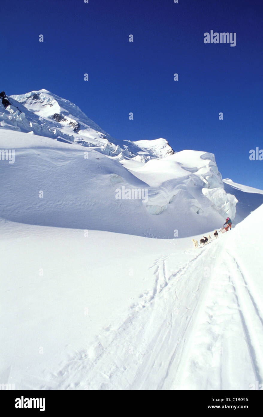 France, Savoie, Mont Blanc, ascension of the Grands Mulets route with ...