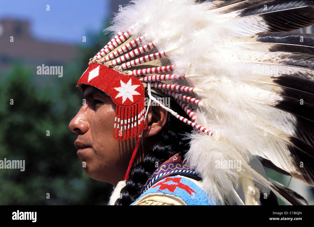 Great indians hi-res stock photography and images - Alamy