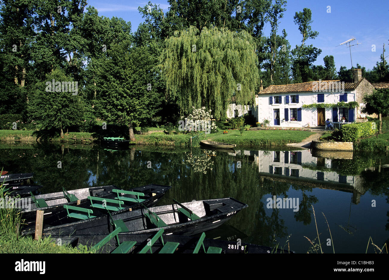 Marais poitevin regional park hi-res stock photography and images - Alamy