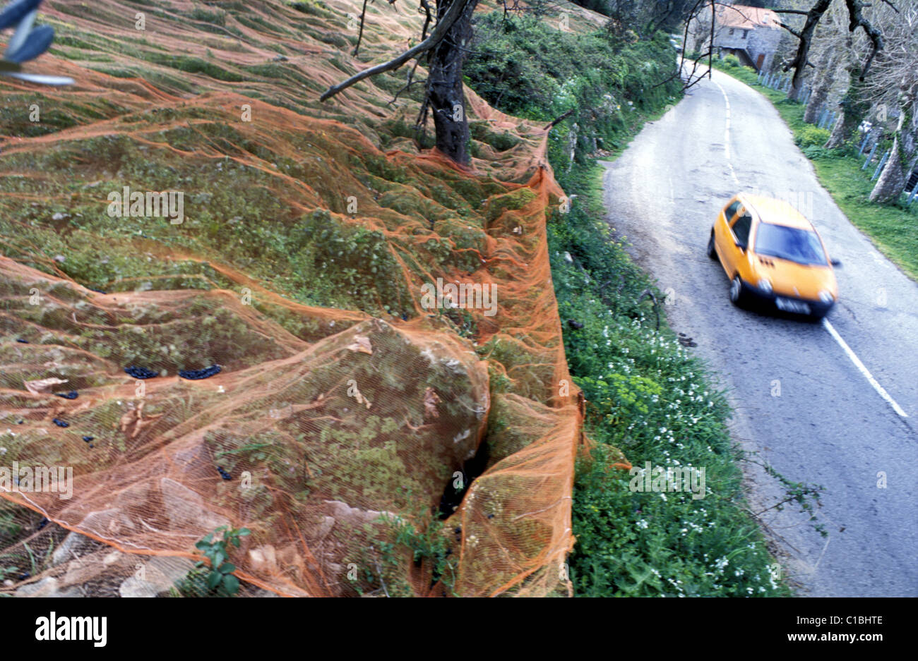 Sainte lucie de tallano hi-res stock photography and images - Alamy