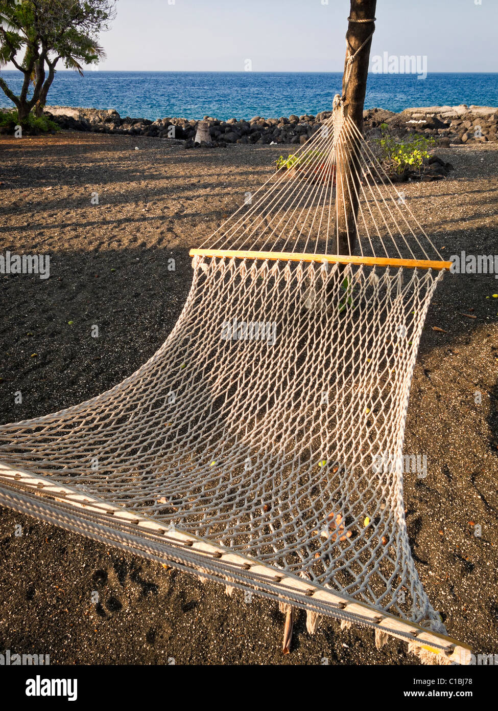 Hammock strung between two palm trees in Hawaii Stock Photo - Alamy