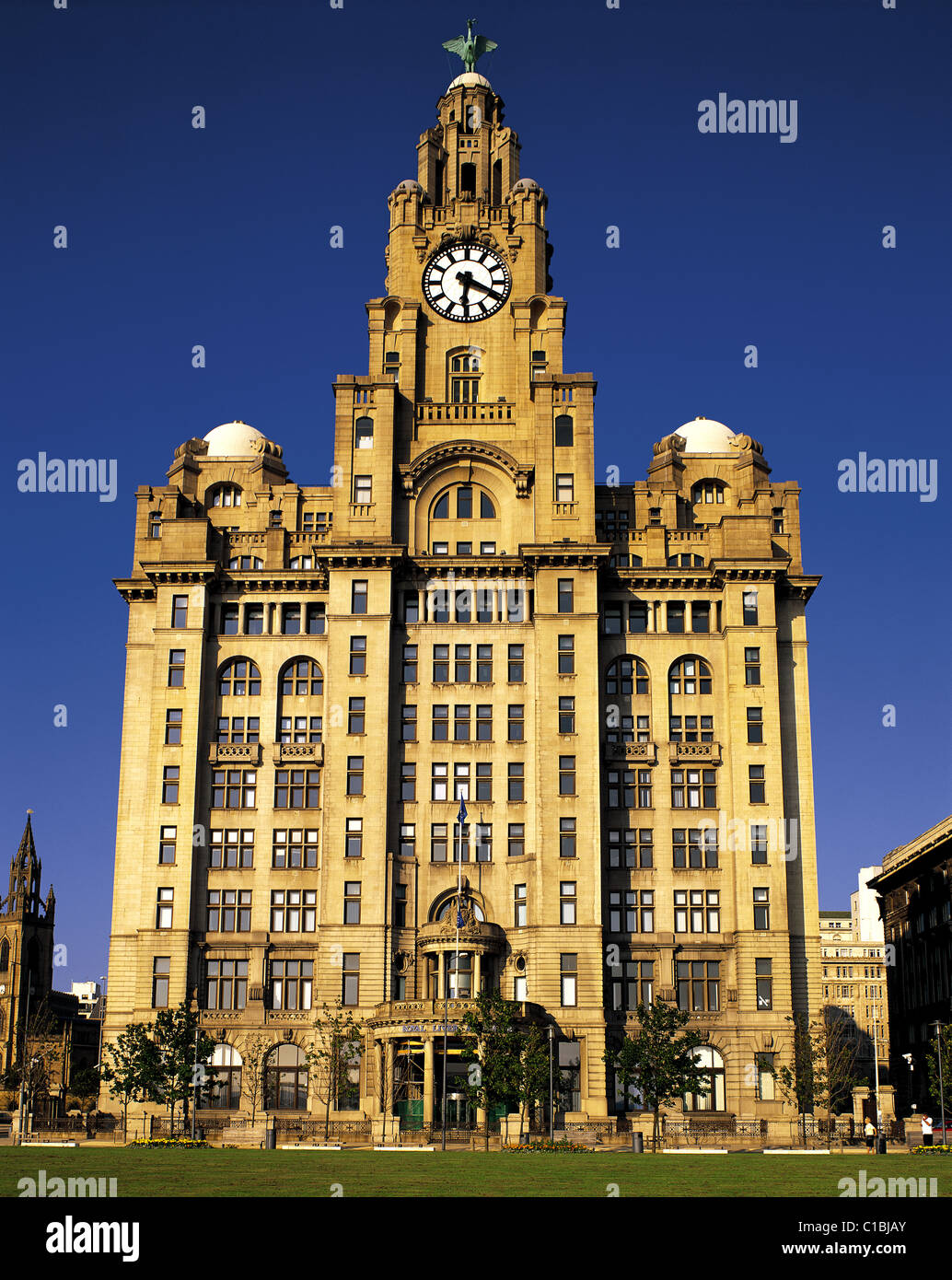 The Royal Liver Building, Liverpool, England Stock Photo - Alamy