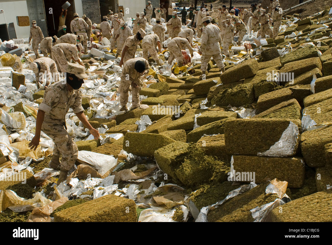 The largest seizure of marijuana in Mexican history and its burn took ...
