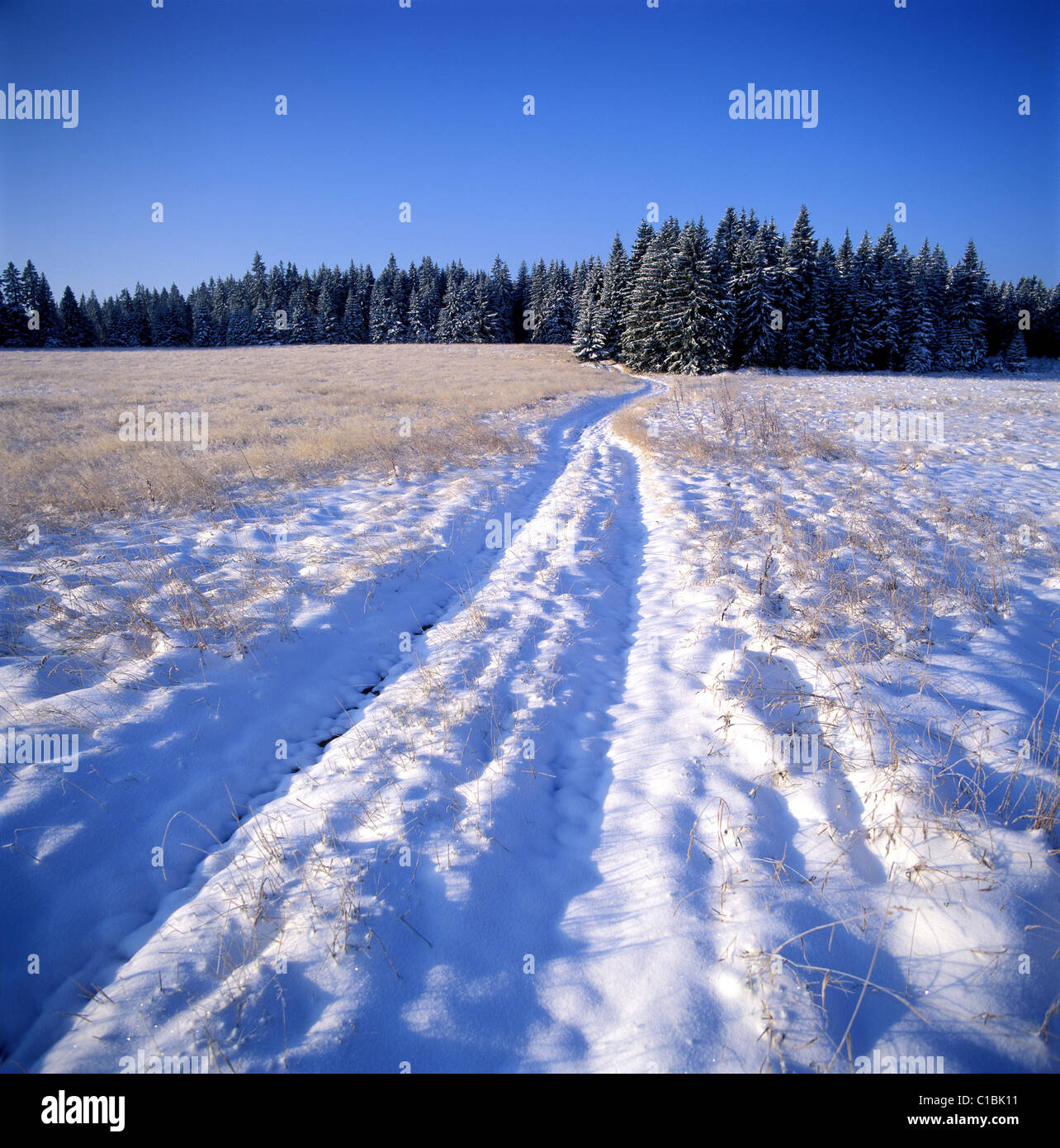 France, Hautes Alpes, path under snow Stock Photo - Alamy