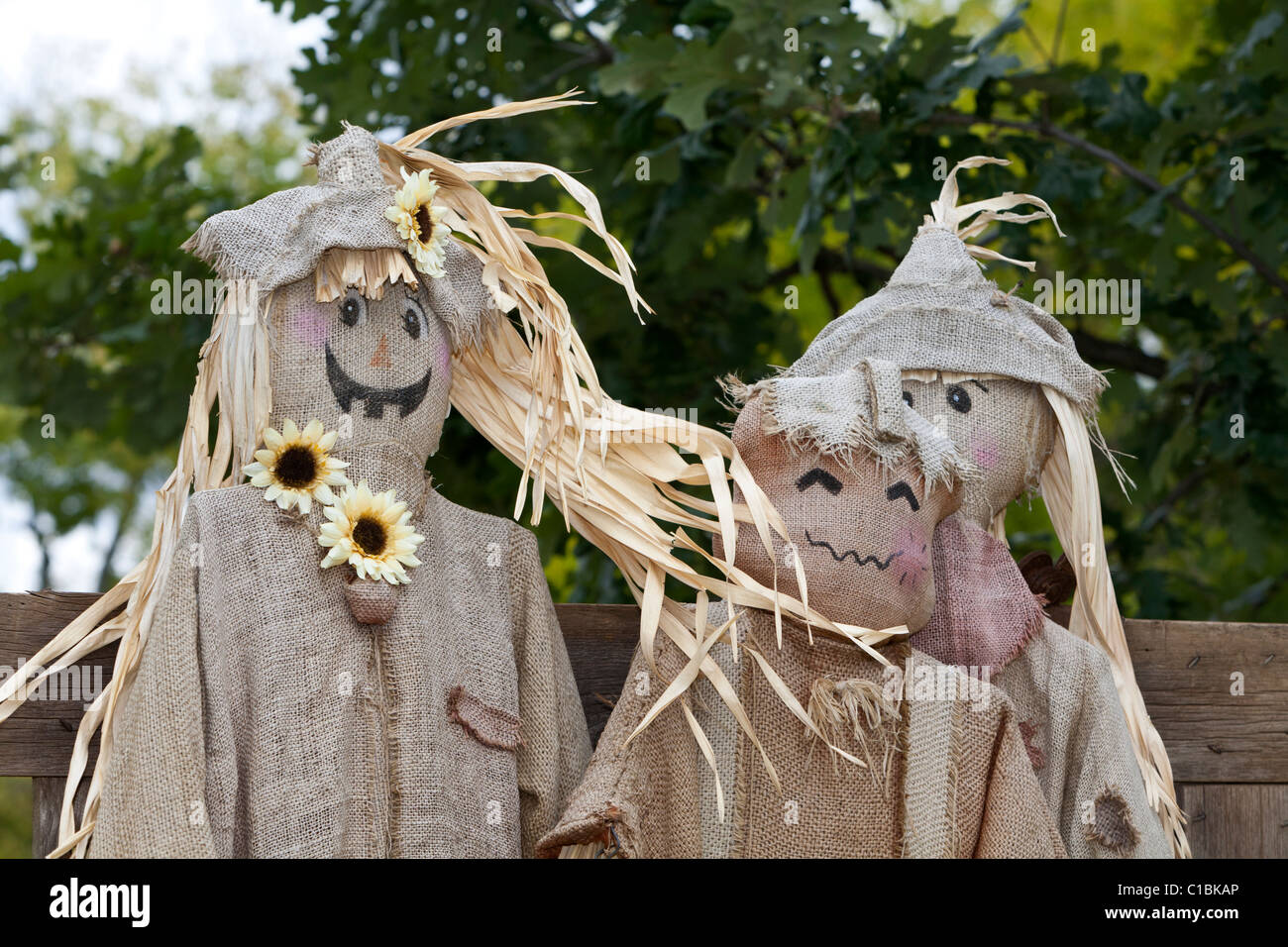 Scarecrow scarecrows hi-res stock photography and images - Alamy