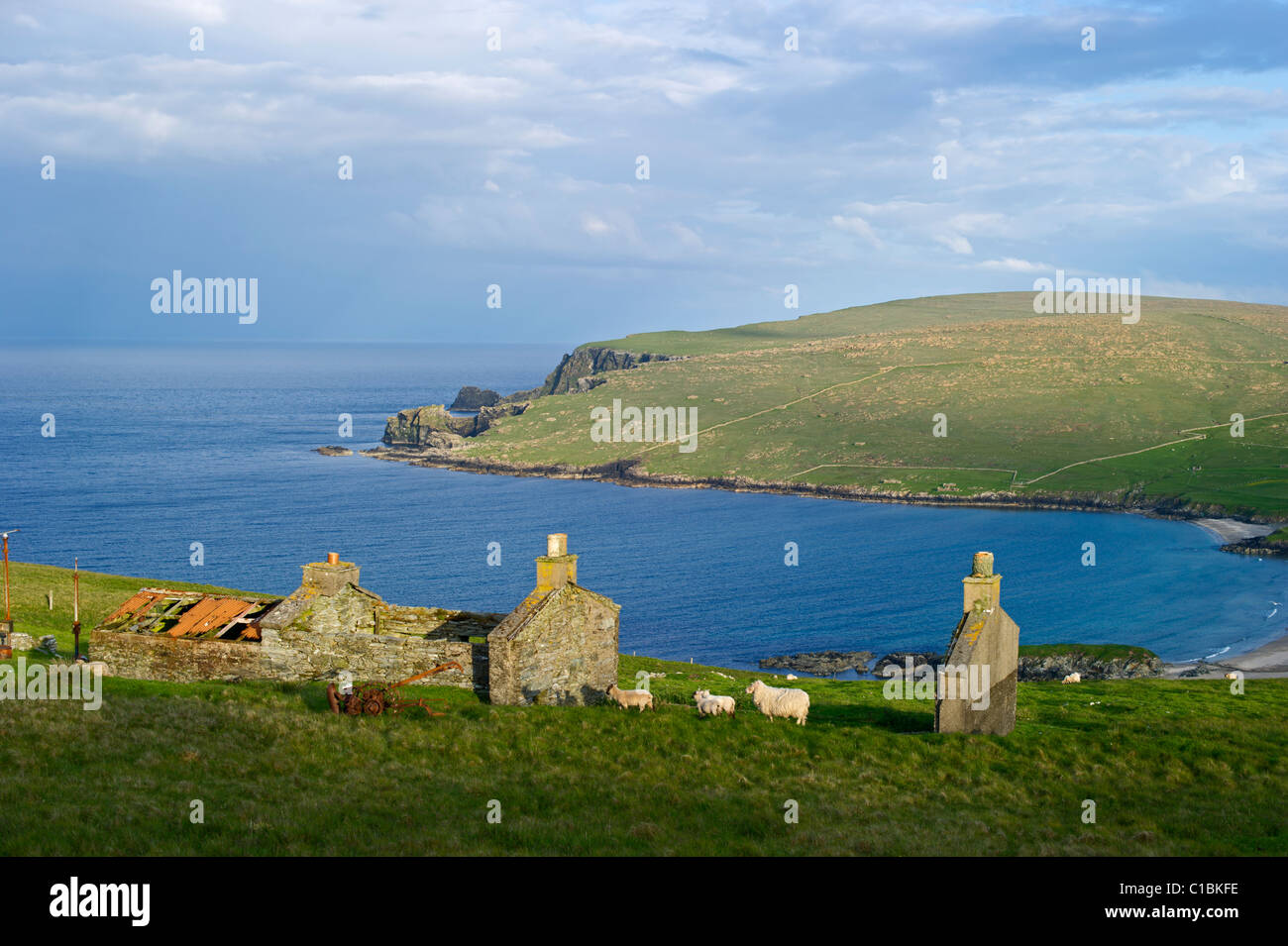 Norwick shetland hi-res stock photography and images - Alamy