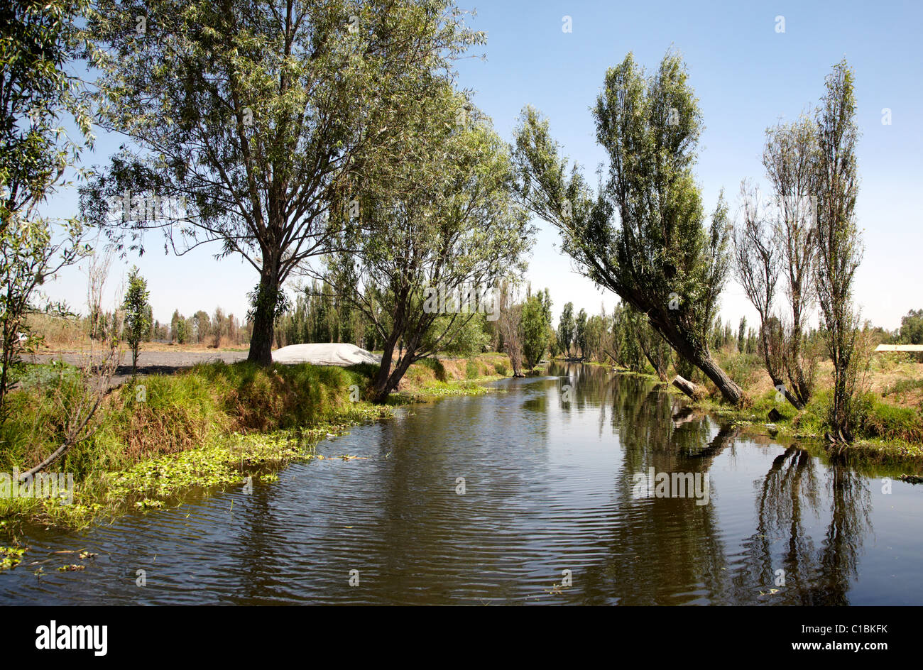 Mexico city floating gardens hi-res stock photography and images - Alamy