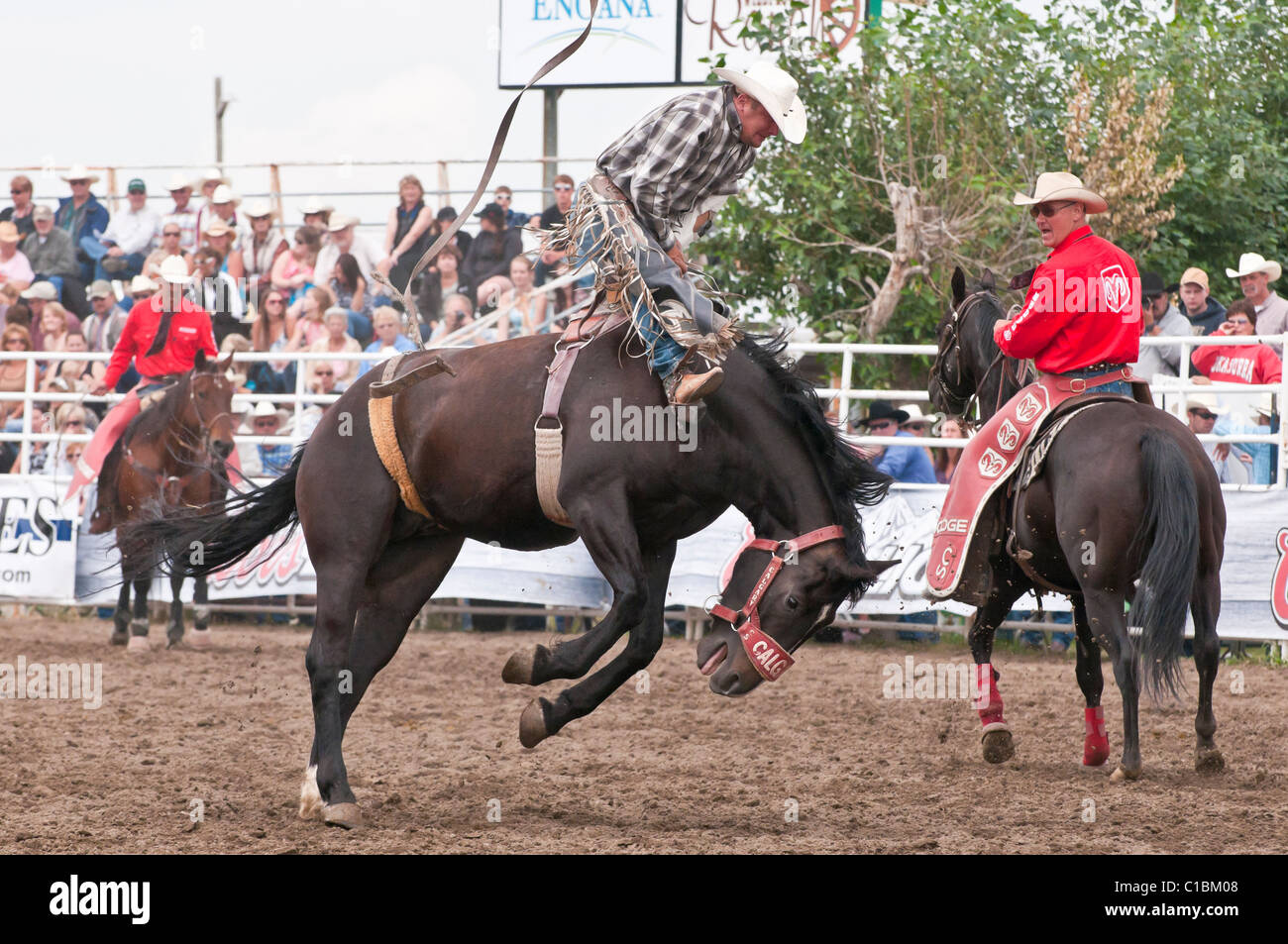 Cowboy, saddle bronc riding, Strathmore Heritage Days, Rodeo ...