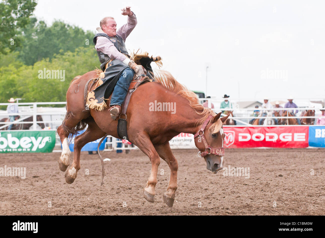 Cowboy, saddle bronc riding, Strathmore Heritage Days, Rodeo ...