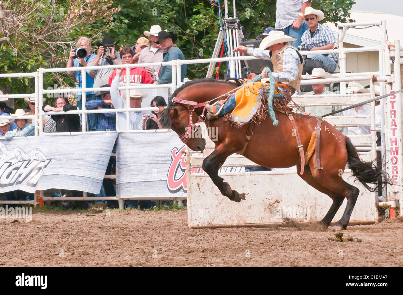 Saddle bronc riding hi-res stock photography and images - Alamy