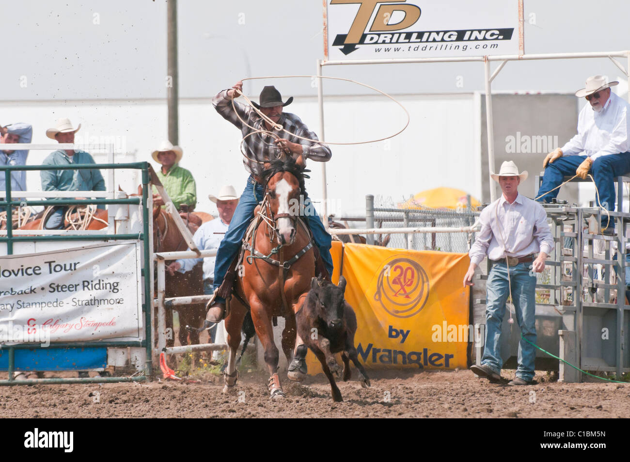 Cowboy roping wild horse hi-res stock photography and images - Alamy
