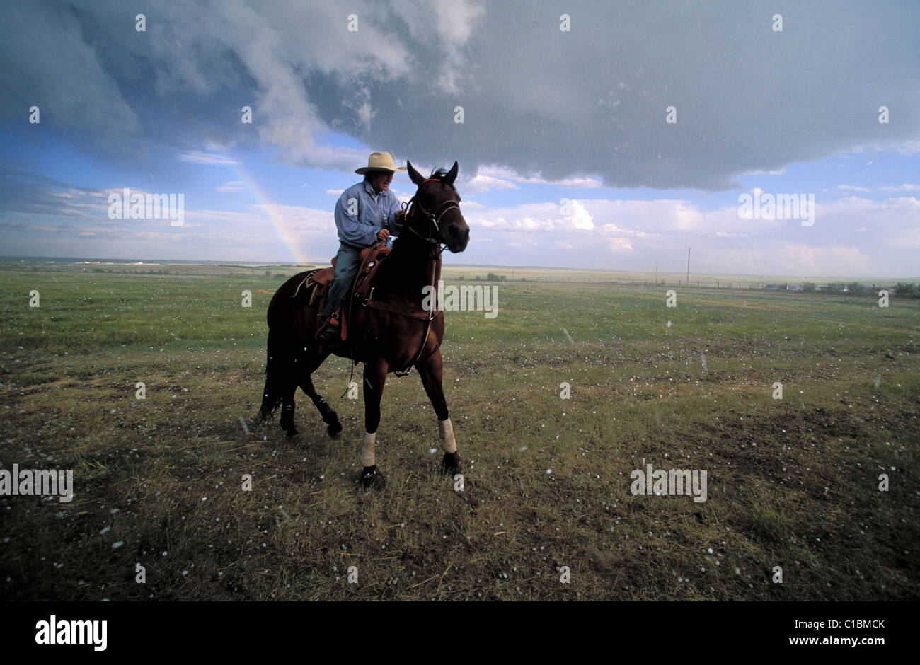 Canada, Saskatchewan, the Badlands, rodeo of country at Shaunavon, huge ...