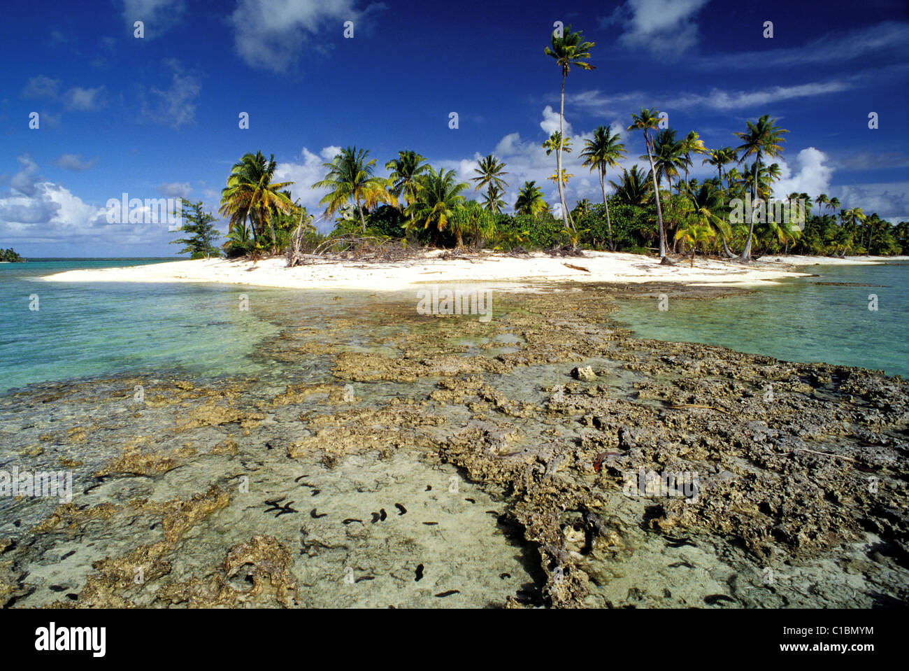 France, French Polynesia, Tetiaroa Island Stock Photo - Alamy