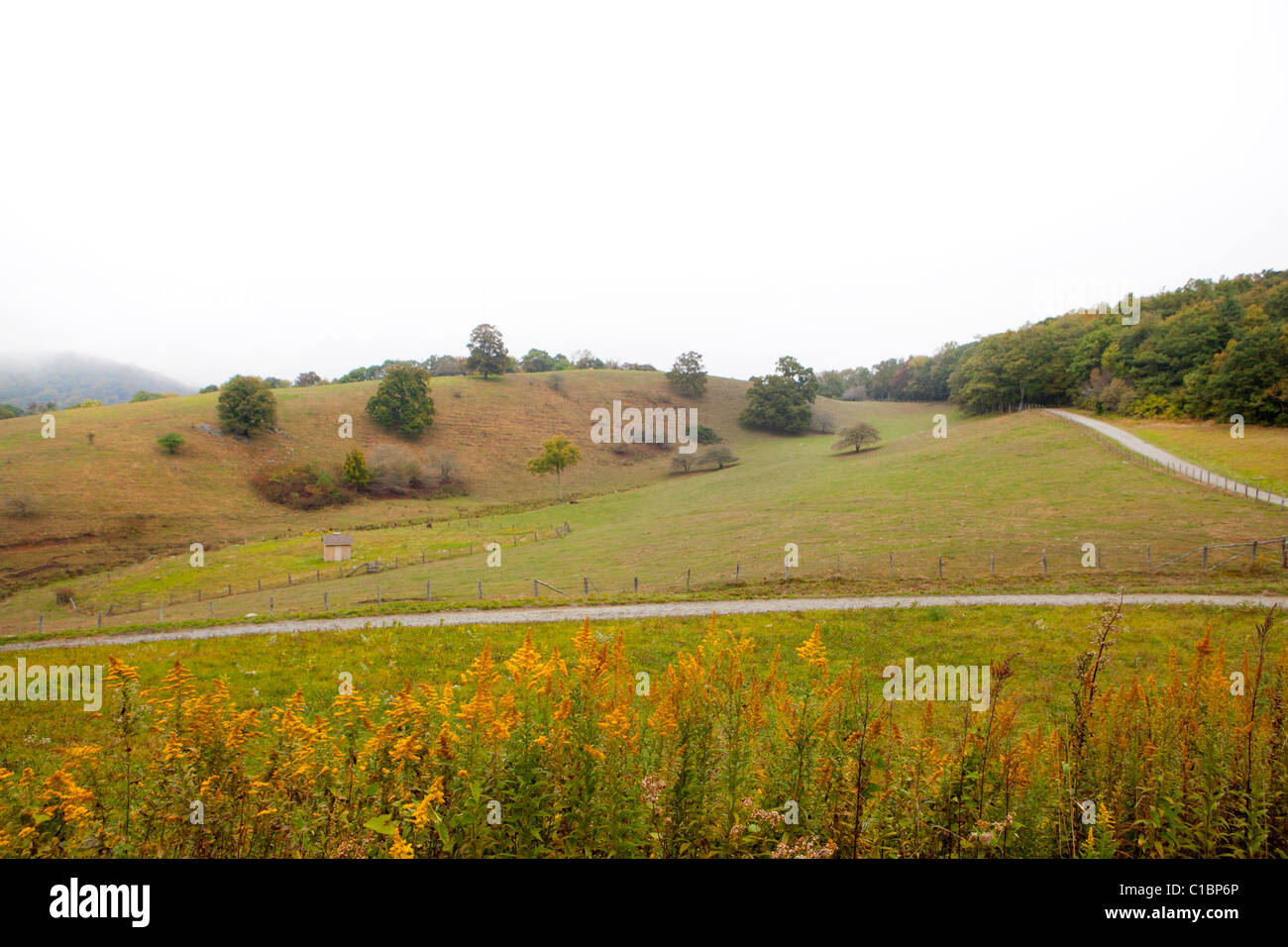 Appalachian mountains road hi-res stock photography and images - Alamy