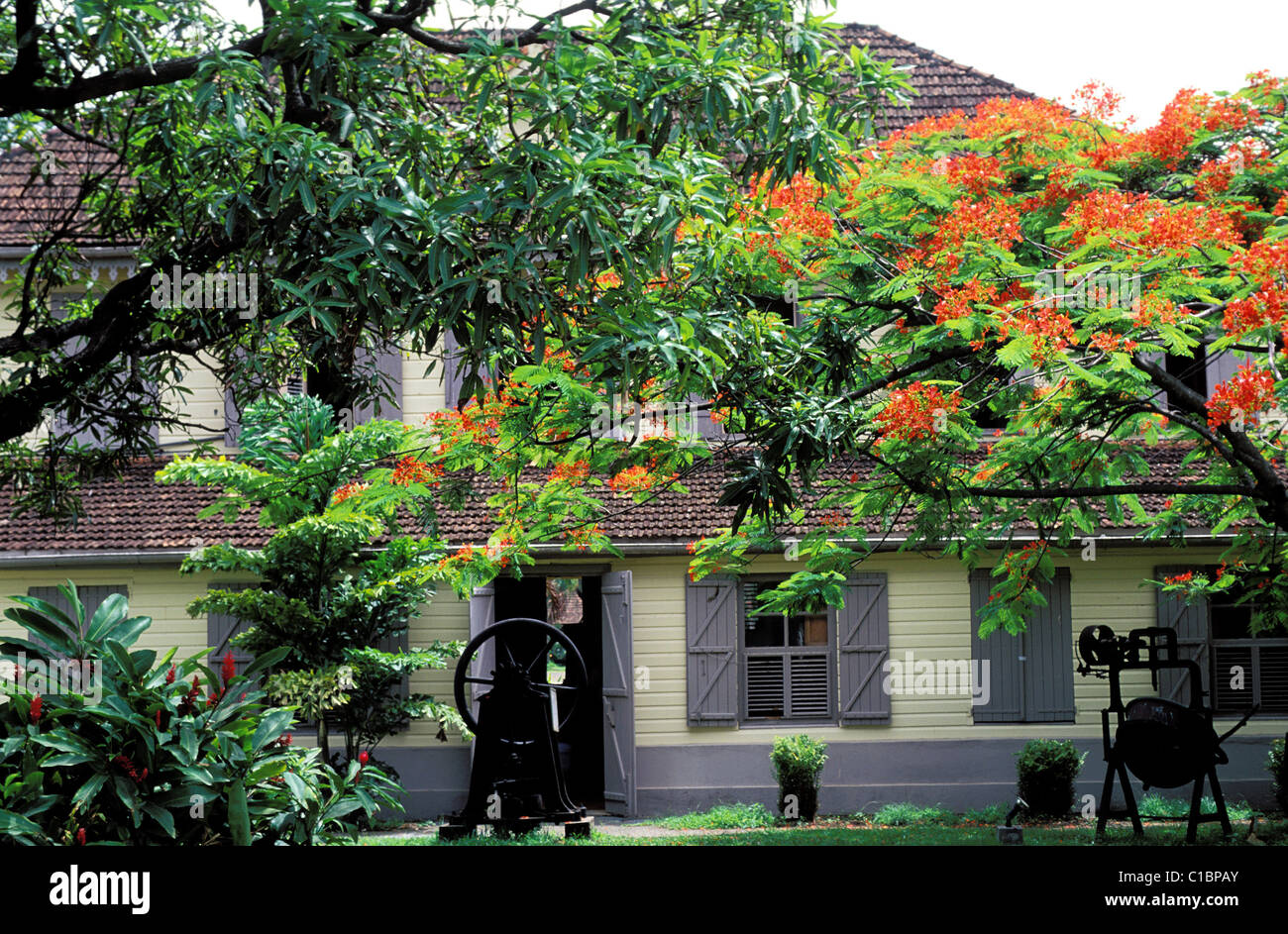 France, Martinique, NorthEast area, Sainte-Marie, colonial house in the ...