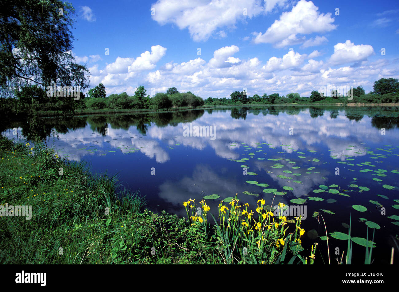 France, Indre, regional nature reserve of Brenne Stock Photo - Alamy