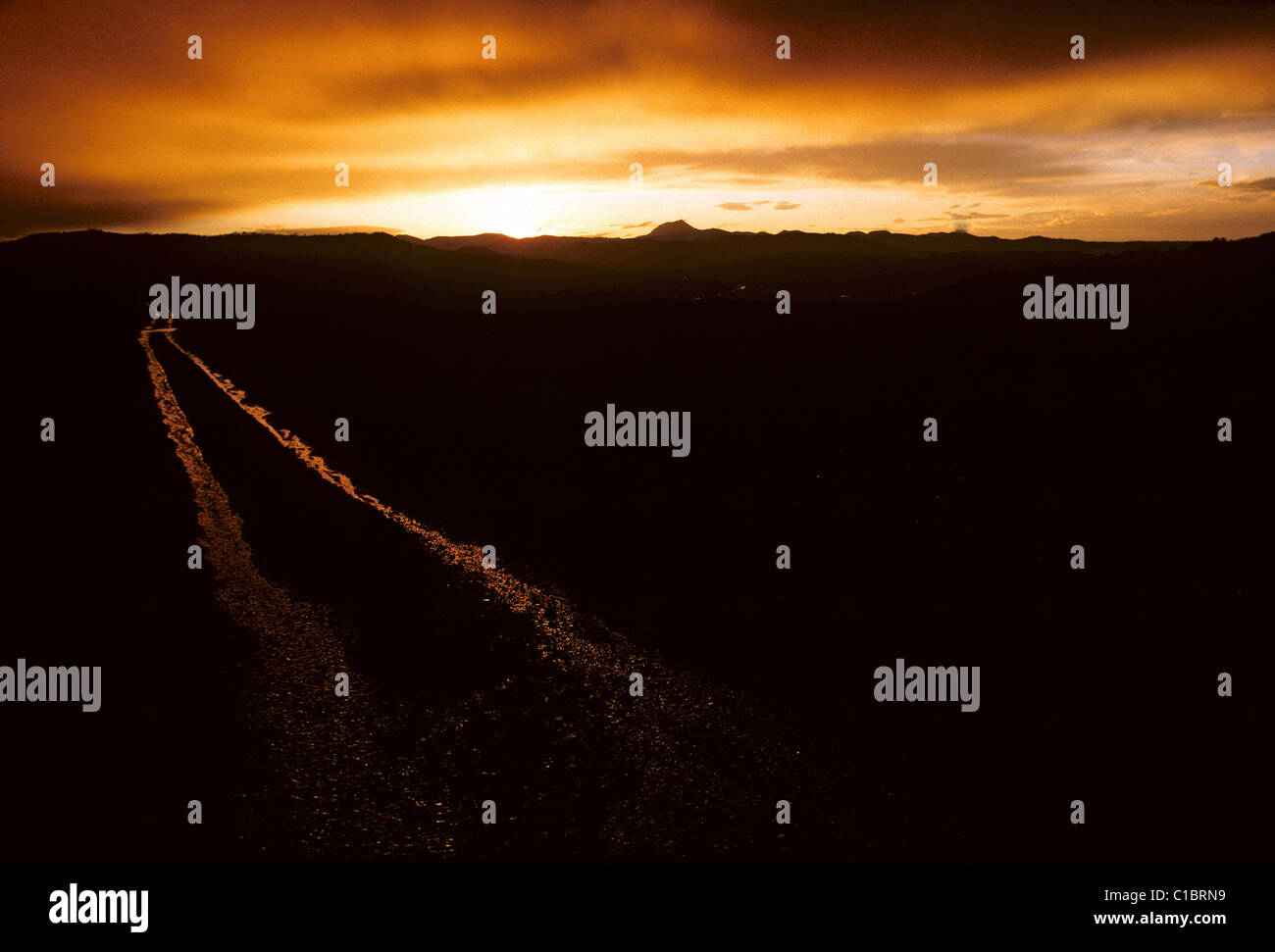 France, Puy de Dome, path after the storm Stock Photo - Alamy