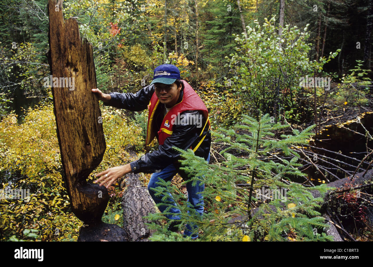 Tooth trace hi-res stock photography and images - Alamy