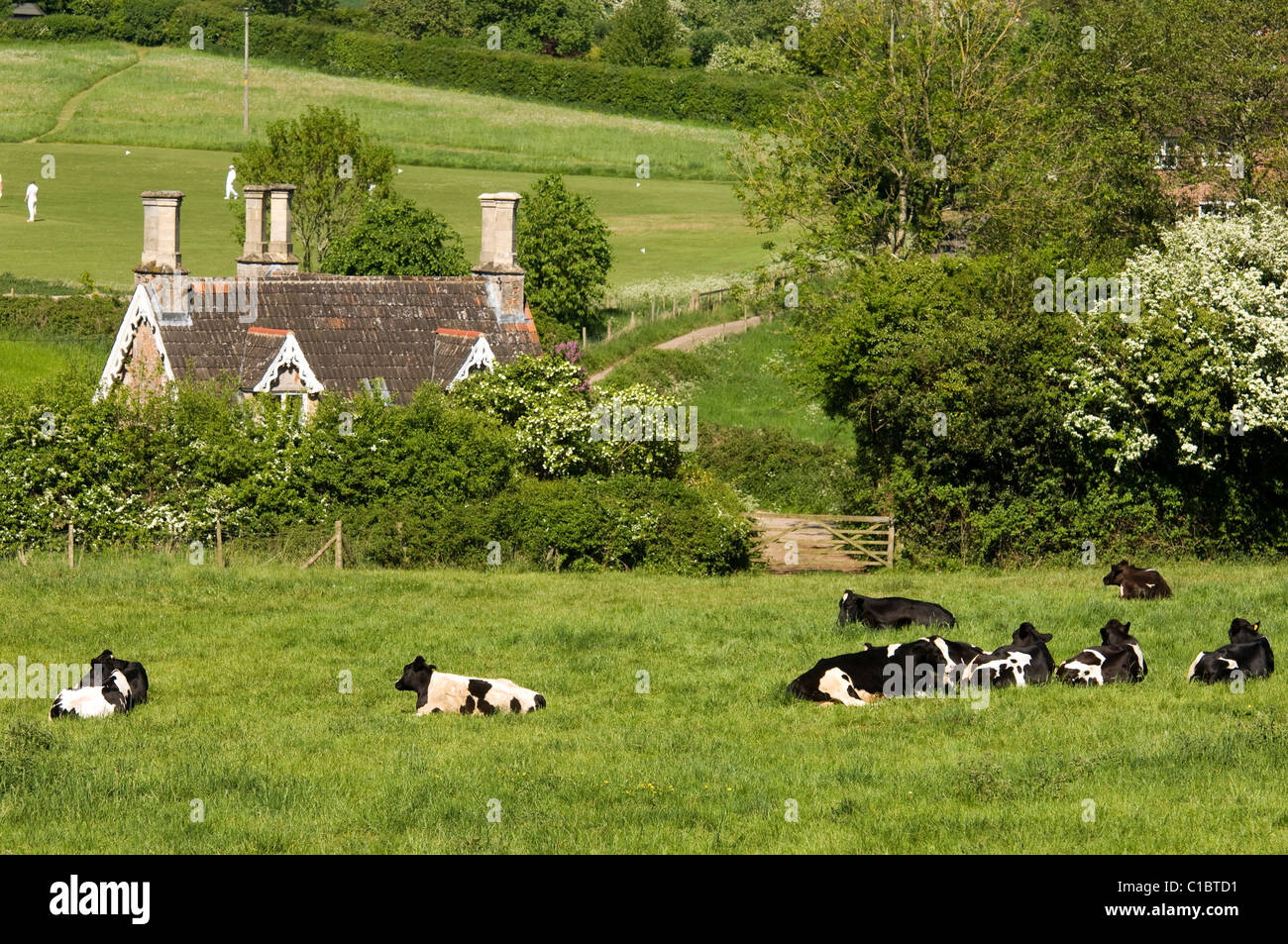 Dindel hi-res stock photography and images - Alamy