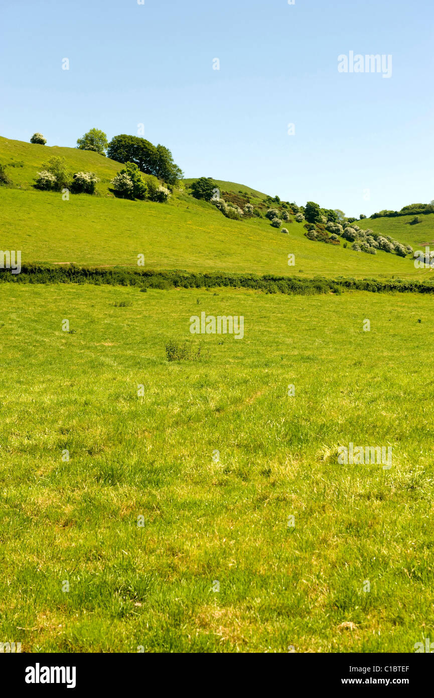 Manor farm england hi-res stock photography and images - Alamy
