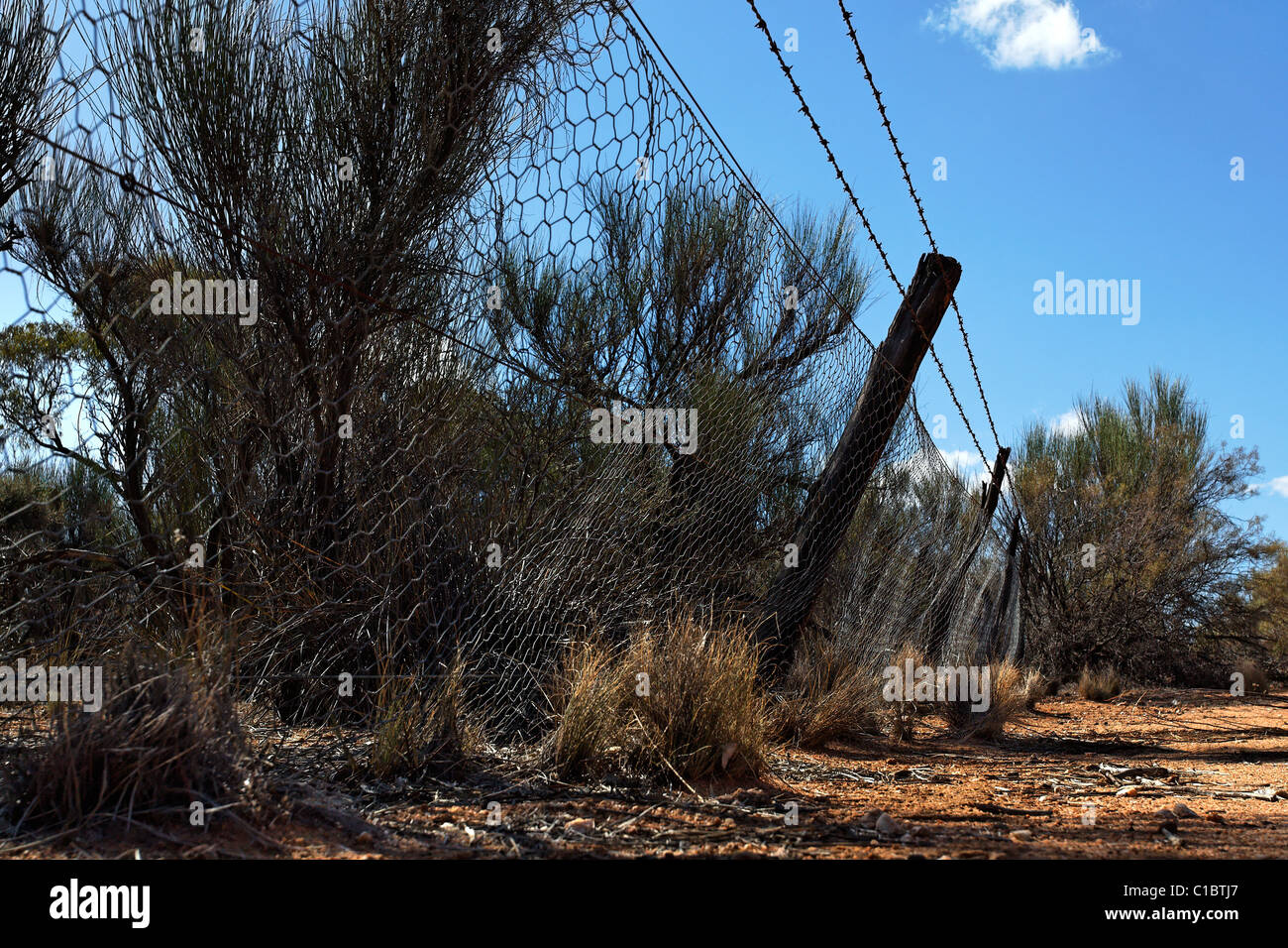 Rabbit Proof Fence Stock Photos & Rabbit Proof Fence Stock Images - Alamy