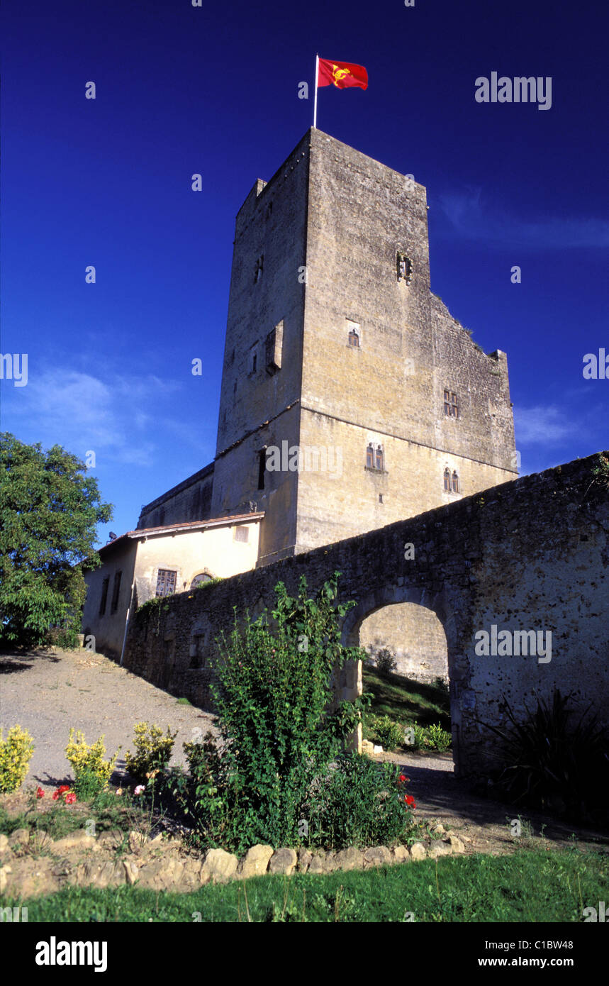 France, Gers, termes d'Armagnac, castle (museum Stock Photo - Alamy