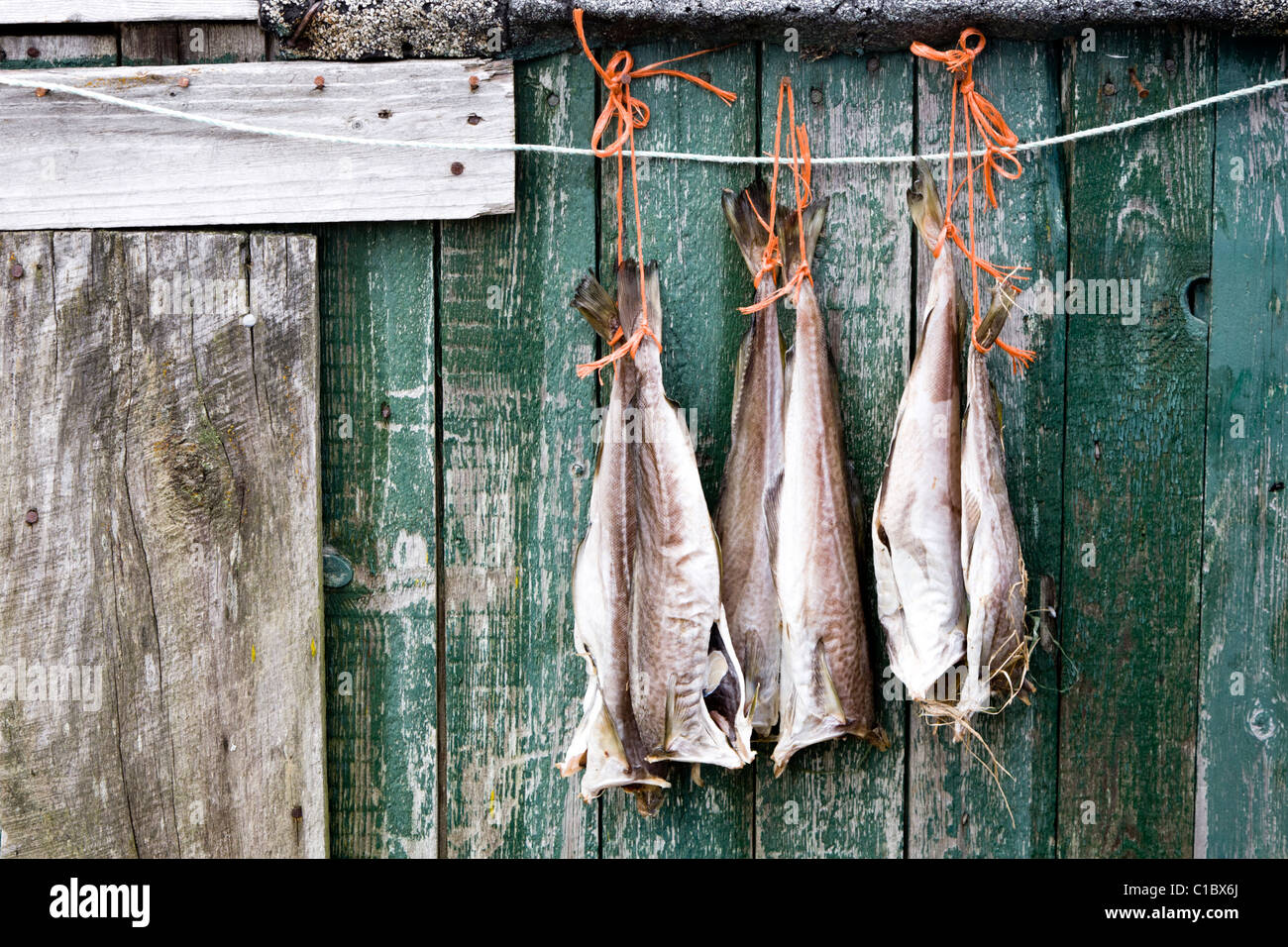 Fish hanging to dry, Narsaq, South Greenland Stock Photo - Alamy