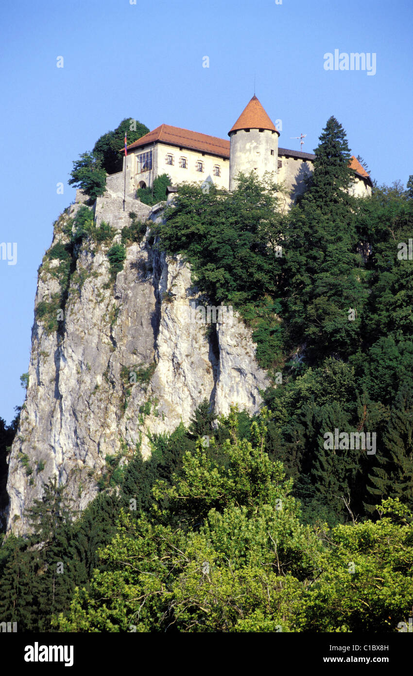 Slovenia, Region of Triglav, Bled, The castle-museum Stock Photo - Alamy