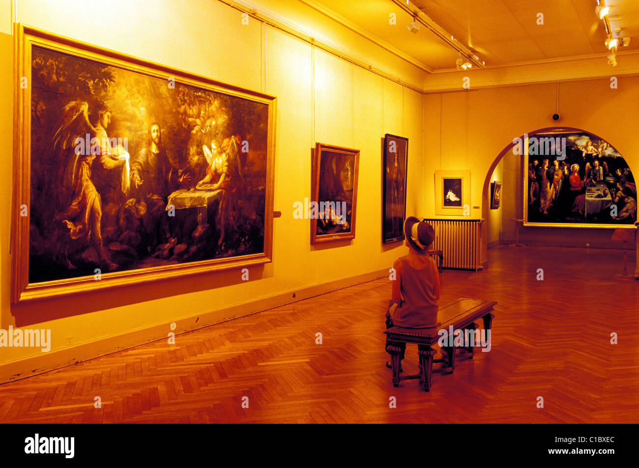 France, Tarn, Castres, Goya museum Stock Photo - Alamy