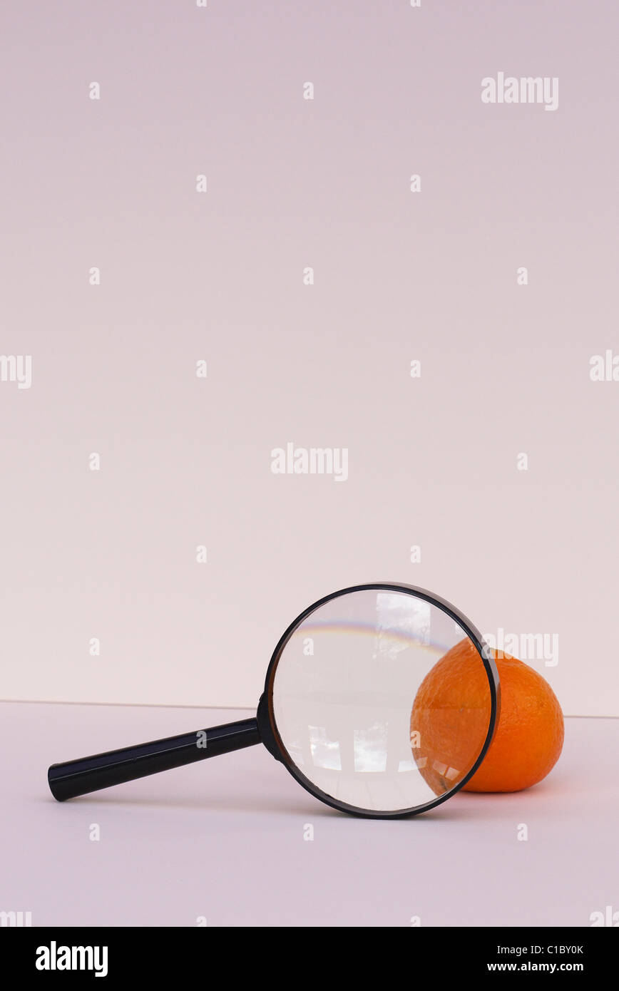 magnified citrus fruit Stock Photo - Alamy