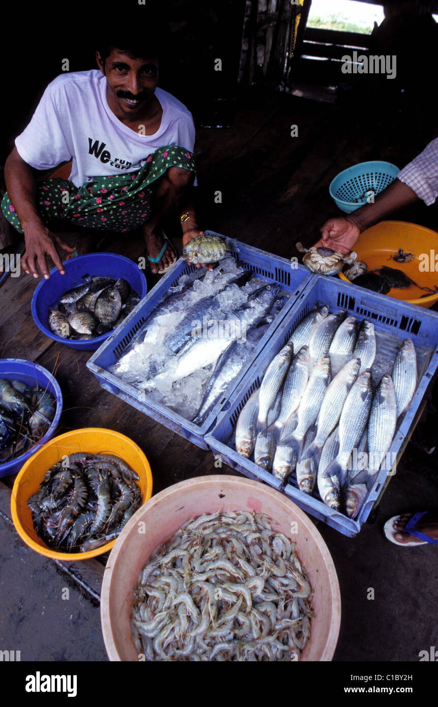 India, Kerala, Cochin's market Stock Photo - Alamy