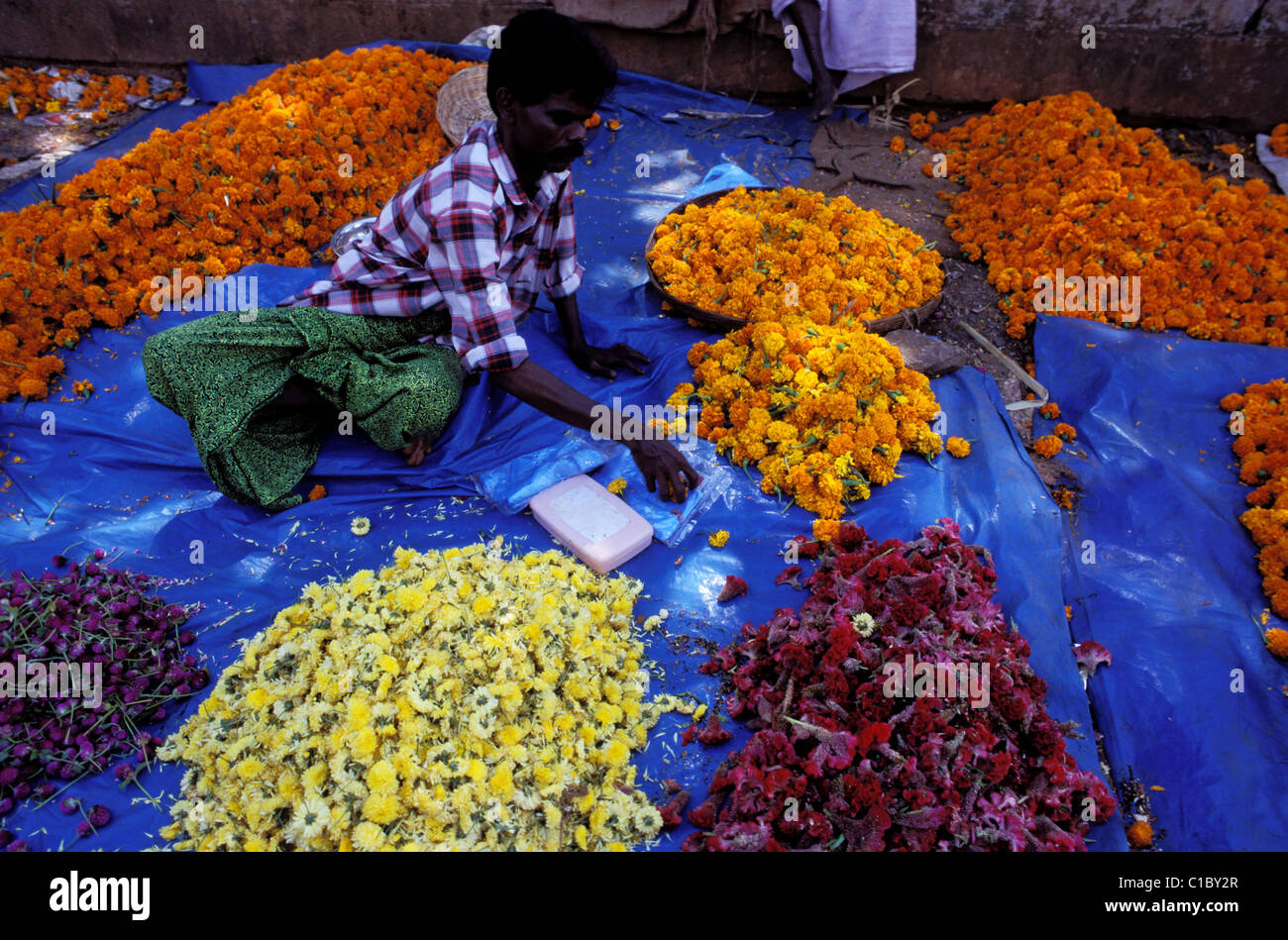 India, Kerala, selling offering flowers Stock Photo - Alamy