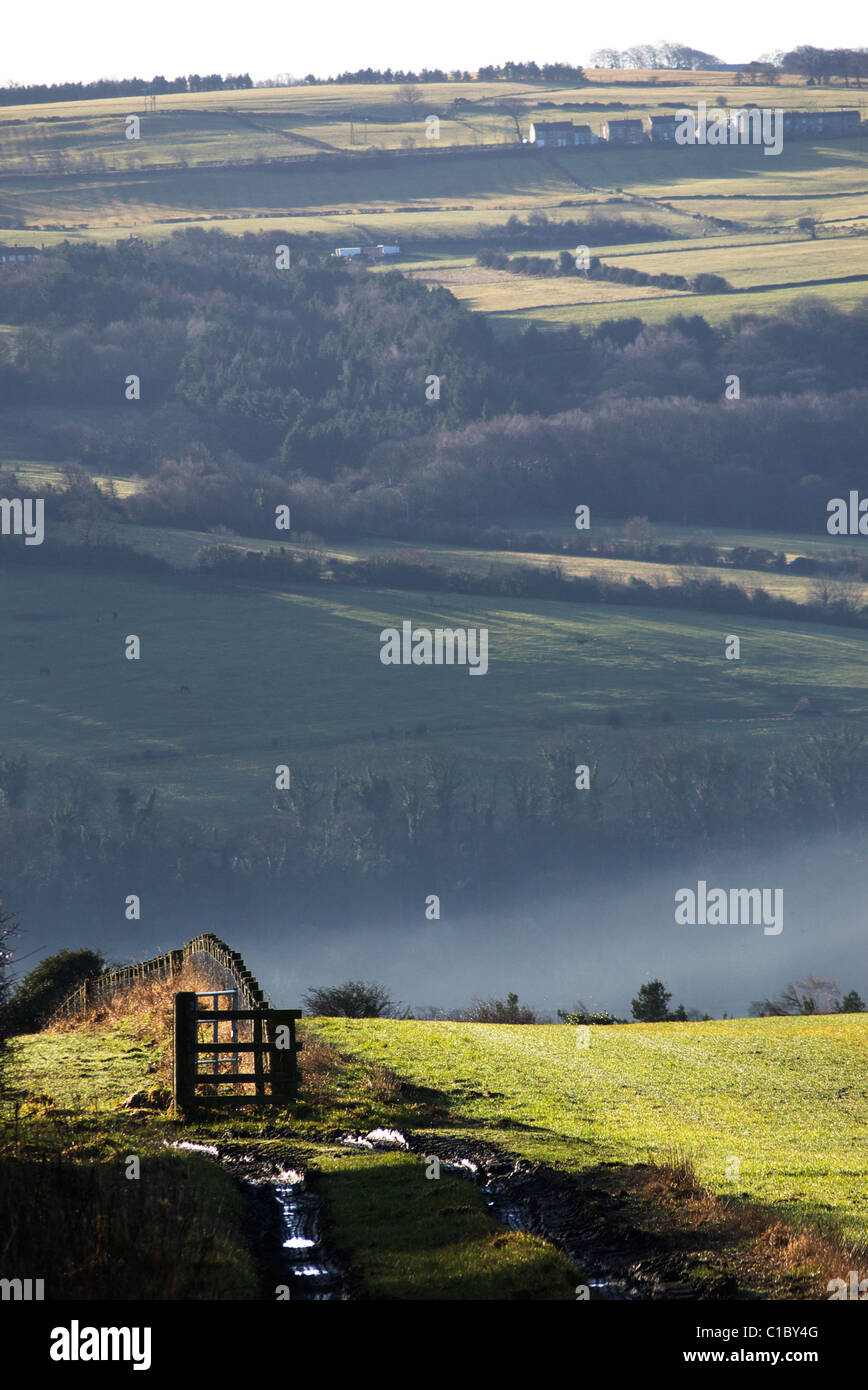 A foot path into the misty valley Stock Photo - Alamy