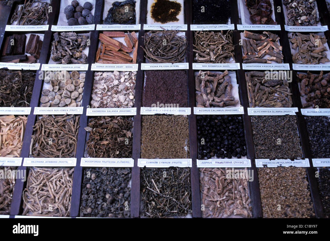 India, Kerala, ayurvedic medicine, healing plants Stock Photo - Alamy