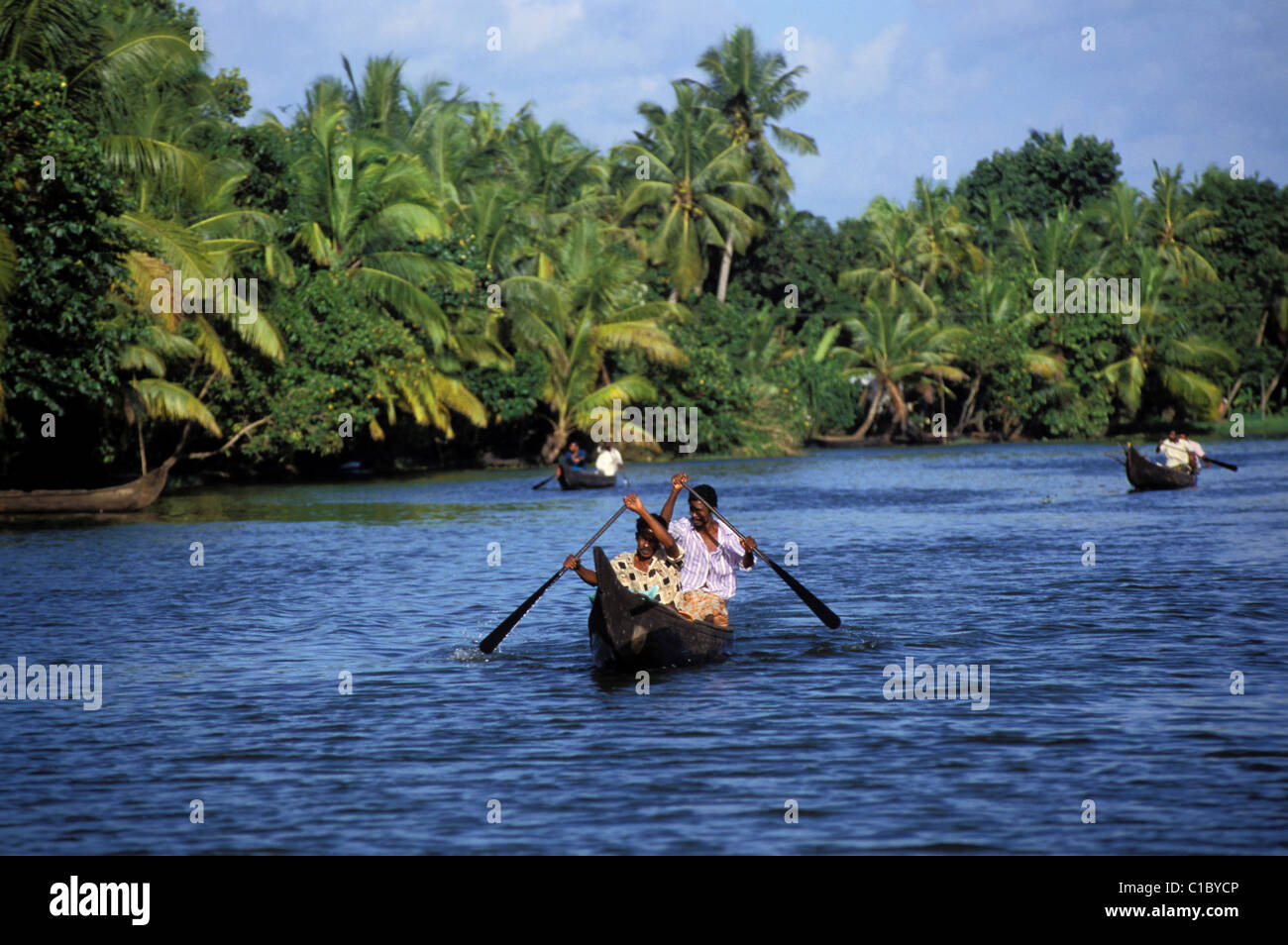 India, Kerala, the backwaters Stock Photo - Alamy