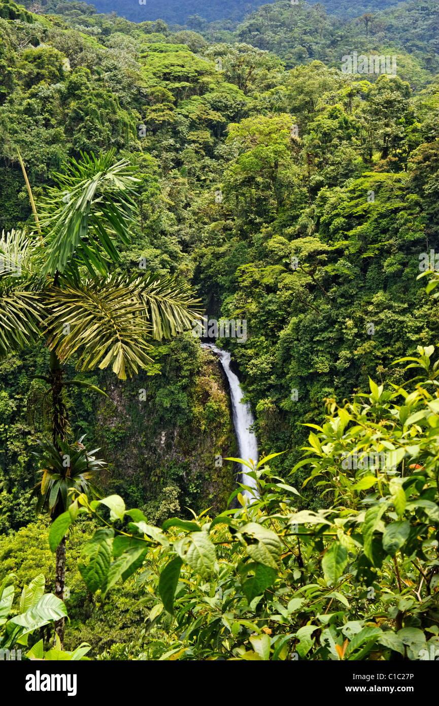 Waterfall, Reserva Ecologica Catarata Rio Fortuna, La Fortuna, Republic ...