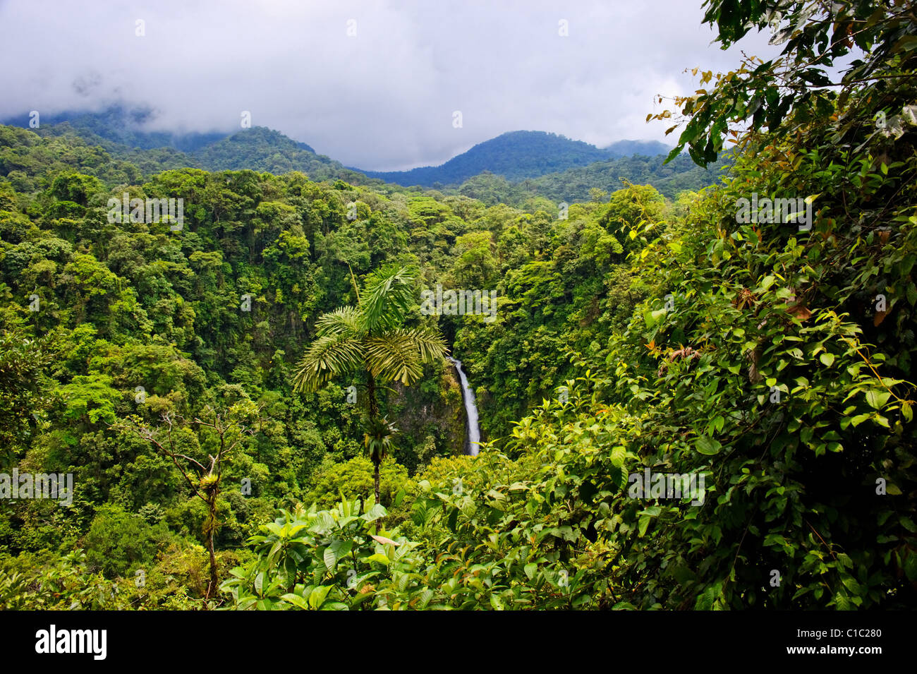Waterfall, Reserva Ecologica Catarata Rio Fortuna, La Fortuna, Republic ...