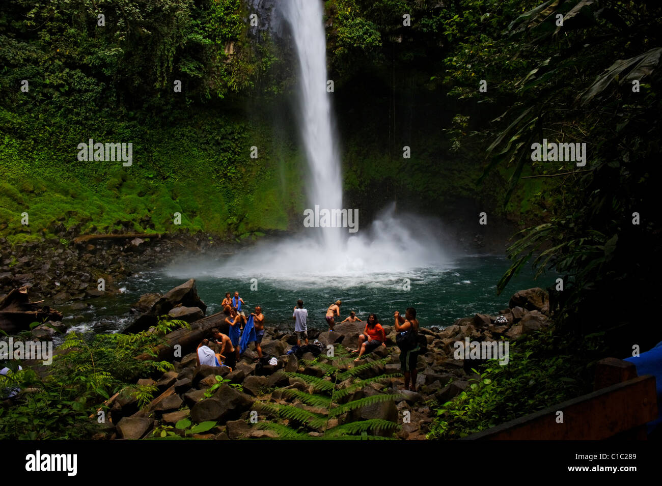 Waterfall, Reserva Ecologica Catarata Rio Fortuna, La Fortuna, Republic ...