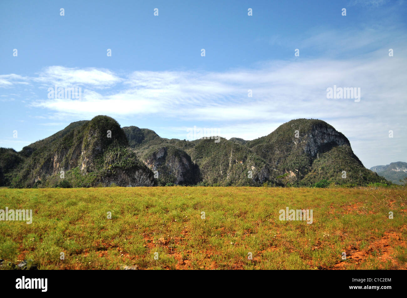 Mogotes on the Vinales Valley, Cuba Stock Photo - Alamy