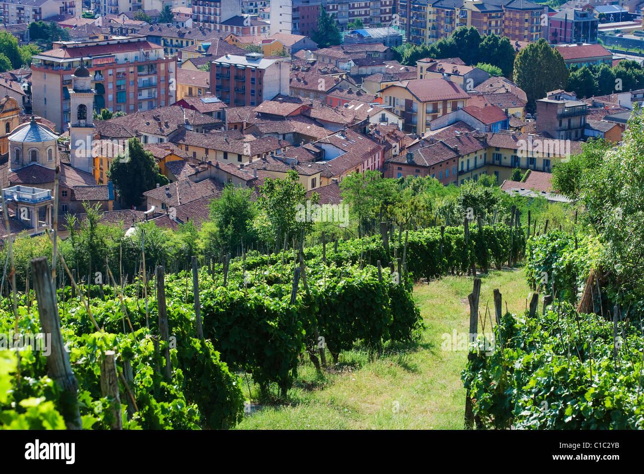 Piedmont wine canelli hi-res stock photography and images - Alamy