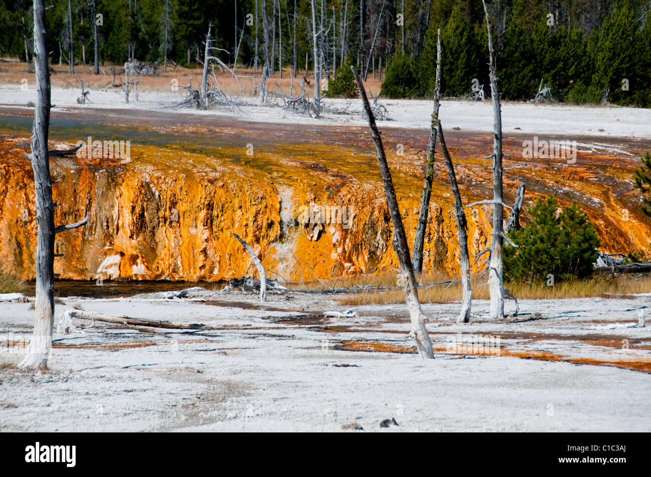 Upper Geyser Basin,Geysers,Sulphurous,Mudpots,Pools,Fumaroles ...